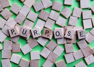 The Apostle Paul’s Purpose and Ours – Next Steps in Faith and Life